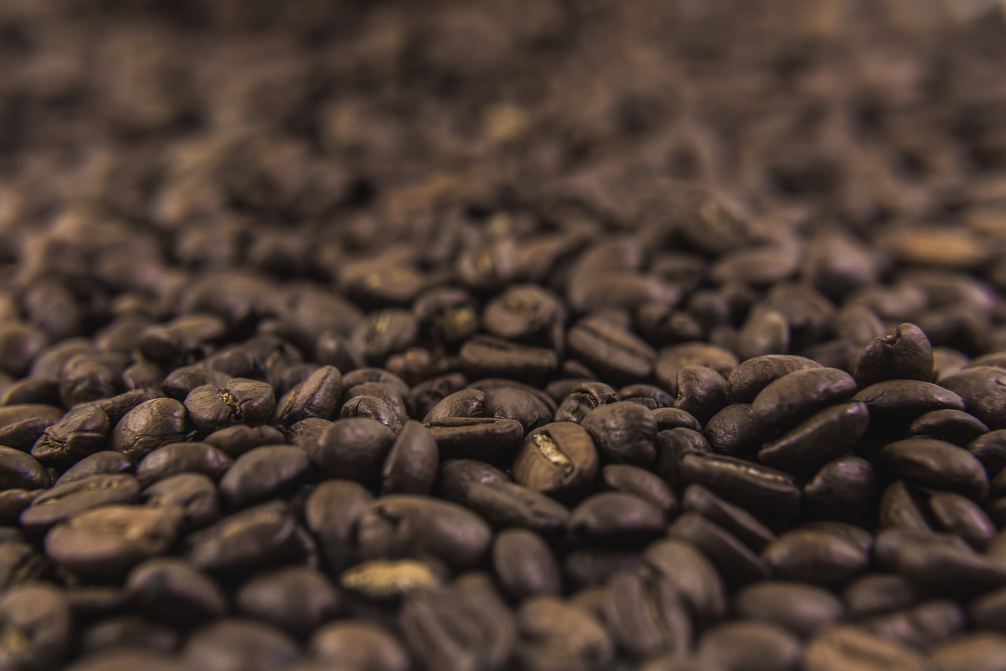 Kits Especiais – Black Tucano Coffee Roasters